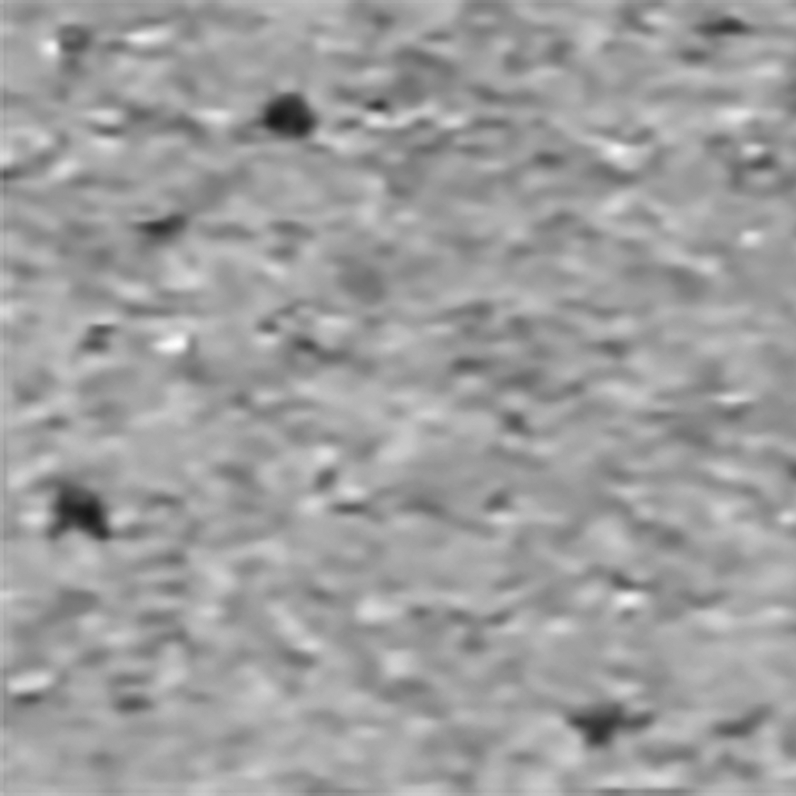 Dr. Schenk GmbH: Battery Inspection