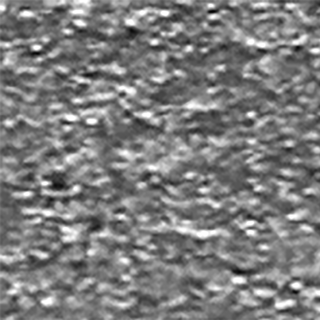 Dr. Schenk GmbH: Battery Inspection