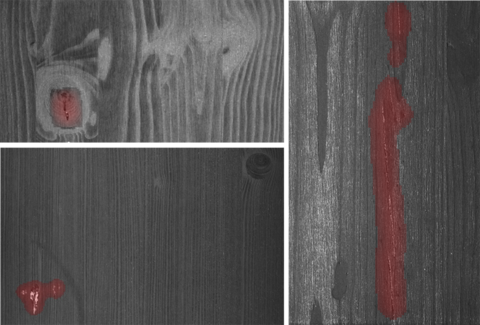 Dr. Schenk GmbH: Wood Inspection