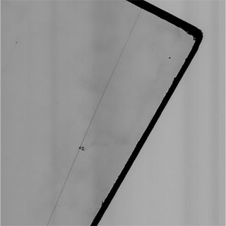 Dr. Schenk GmbH: Laminated Glass Inspection